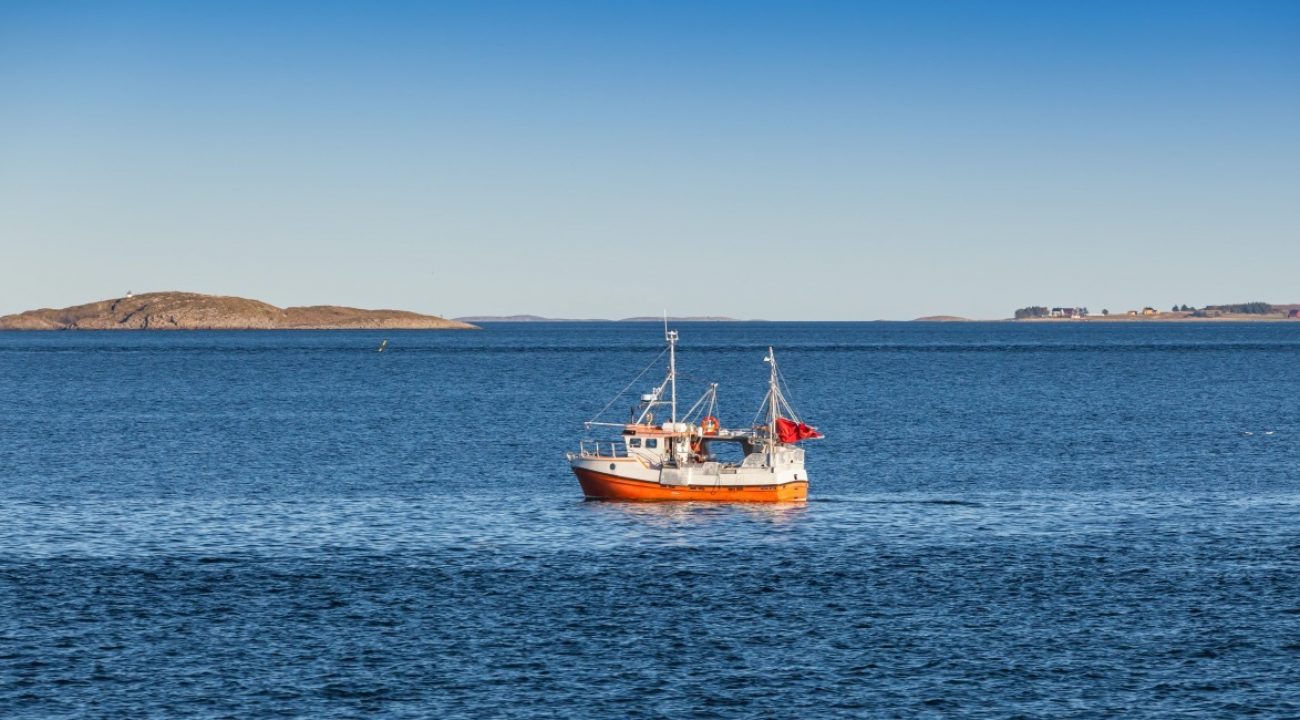 Something Fishy Fishing Charters Fishing Charters, Chichester